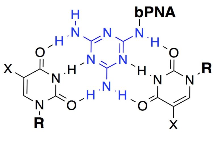 Bong Research Lab – DEPARTMENT OF CHEMISTRY & BIOCHEMISTRY AT THE OHIO ...