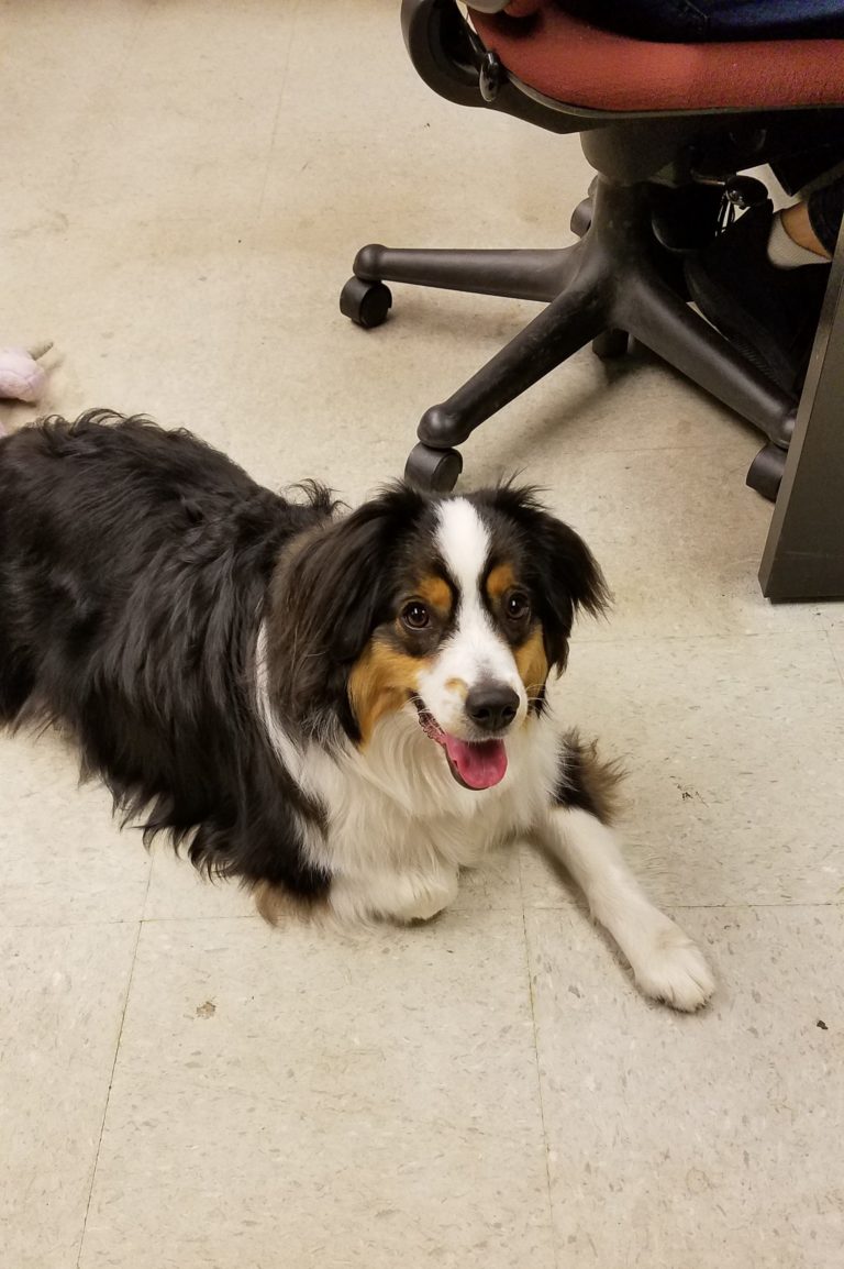 Alice – Kohler Group