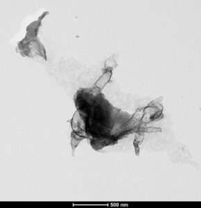 Melanin Photophysics and Photochemistry – Kohler Group