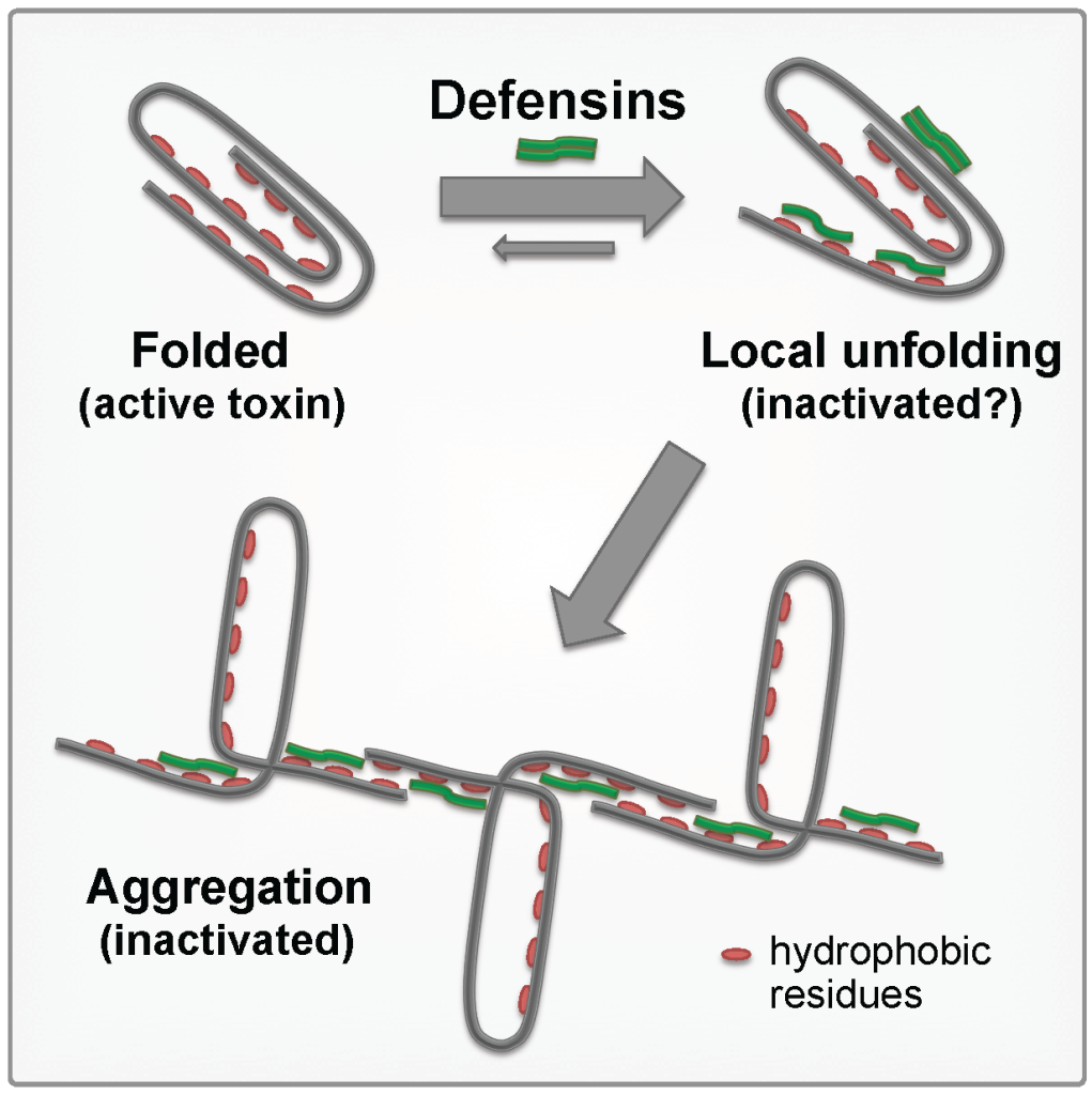 Publications – Kudryashov Group