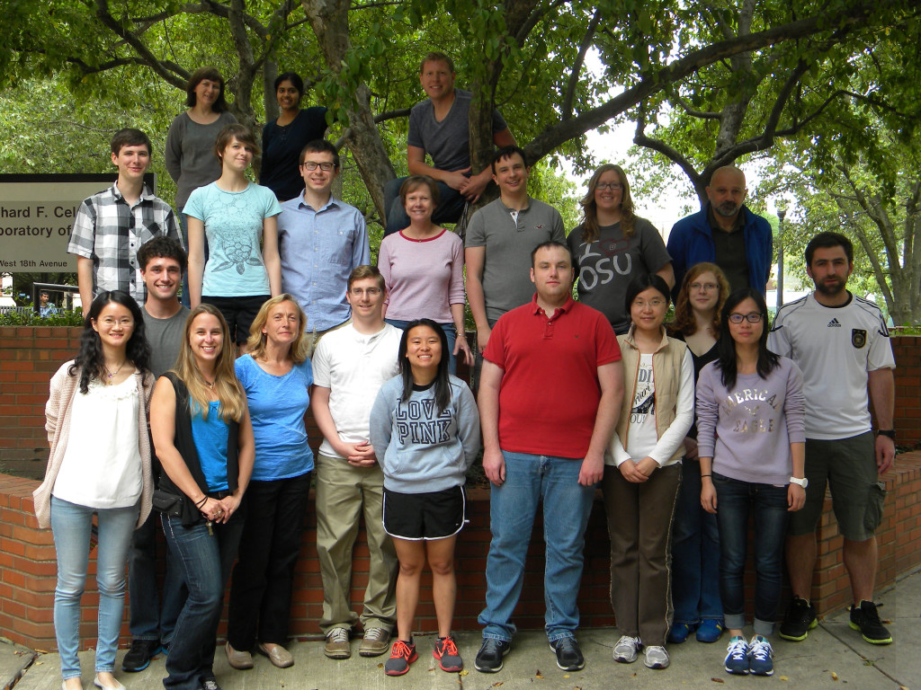 Musier-Forsyth Research Group | Just another Research at OSU Chemistry site