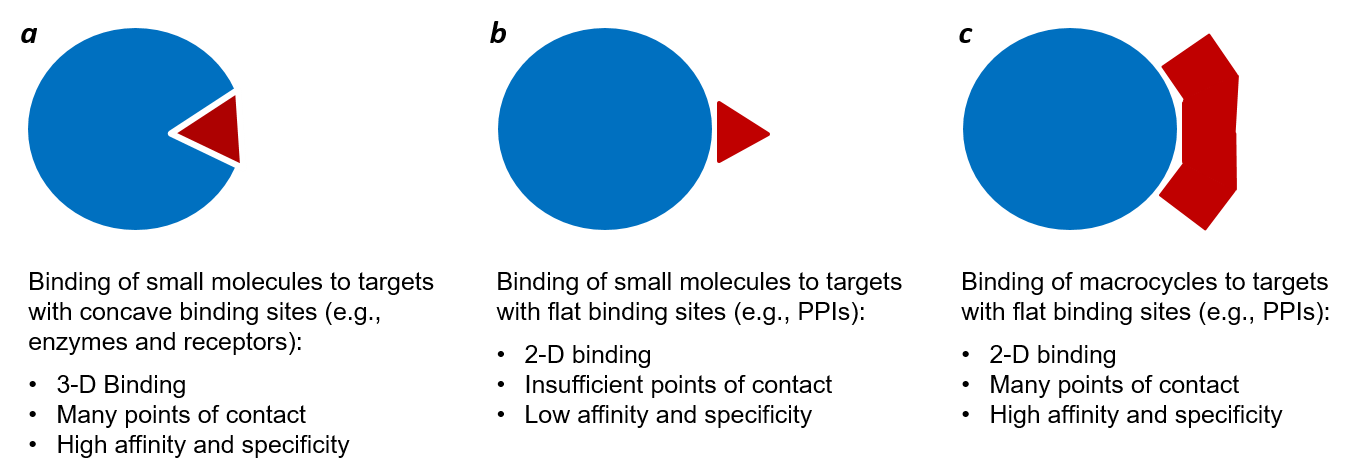 Macrocycles as Protein-Protein Interaction Inhibitors – Pei Group