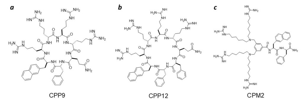 How Do Biomolecules Cross the Cell Membrane? – Pei Group