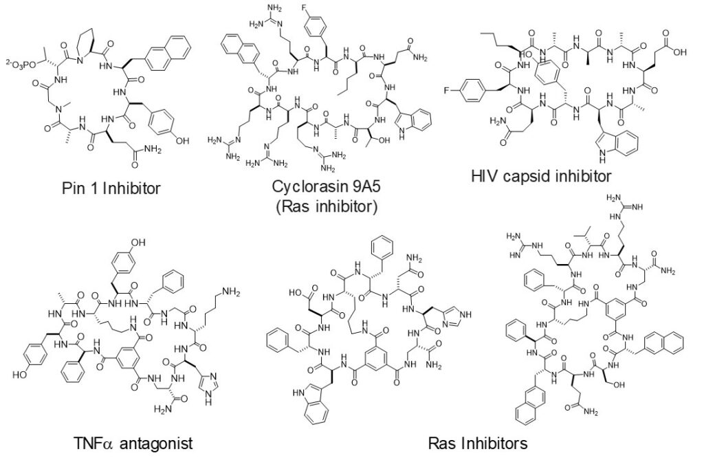 Macrocyclic Peptides as Protein-Protein Interaction Inhibitors – Pei Group
