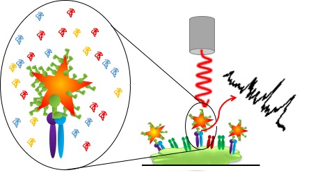 Publications – Schultz Lab
