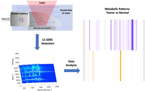 Publications – Schultz Lab