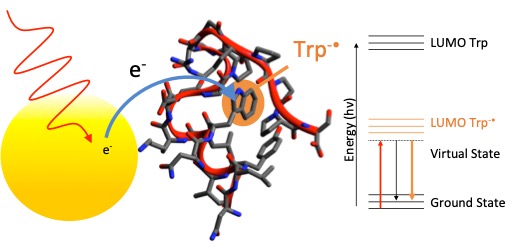 Publications – Schultz Lab