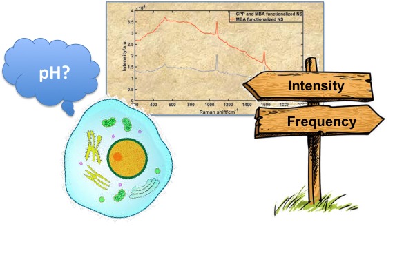 Publications – Schultz Lab